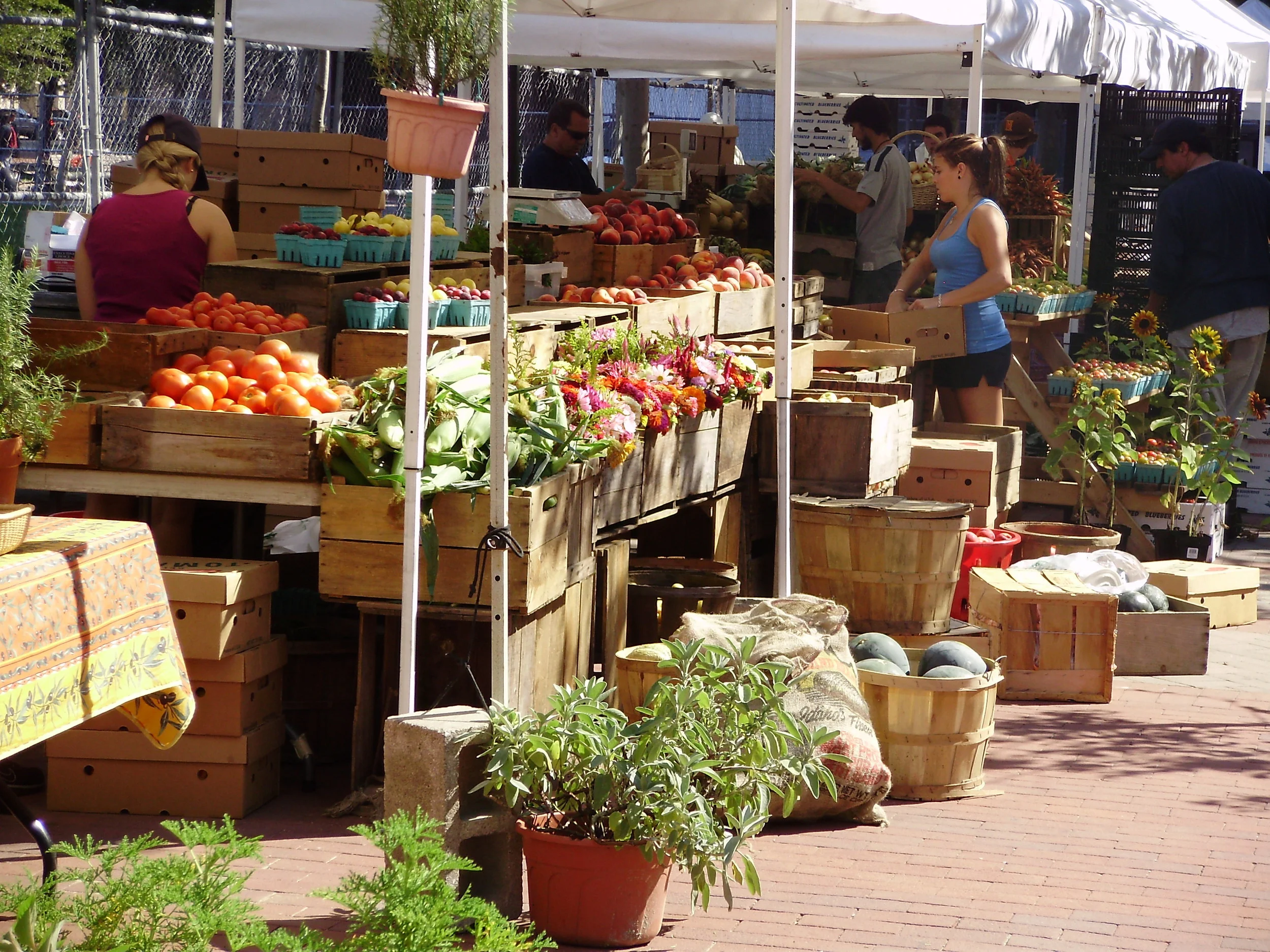 The Facts & Foodies Tour — Boston Pedicab – 617.266.2005