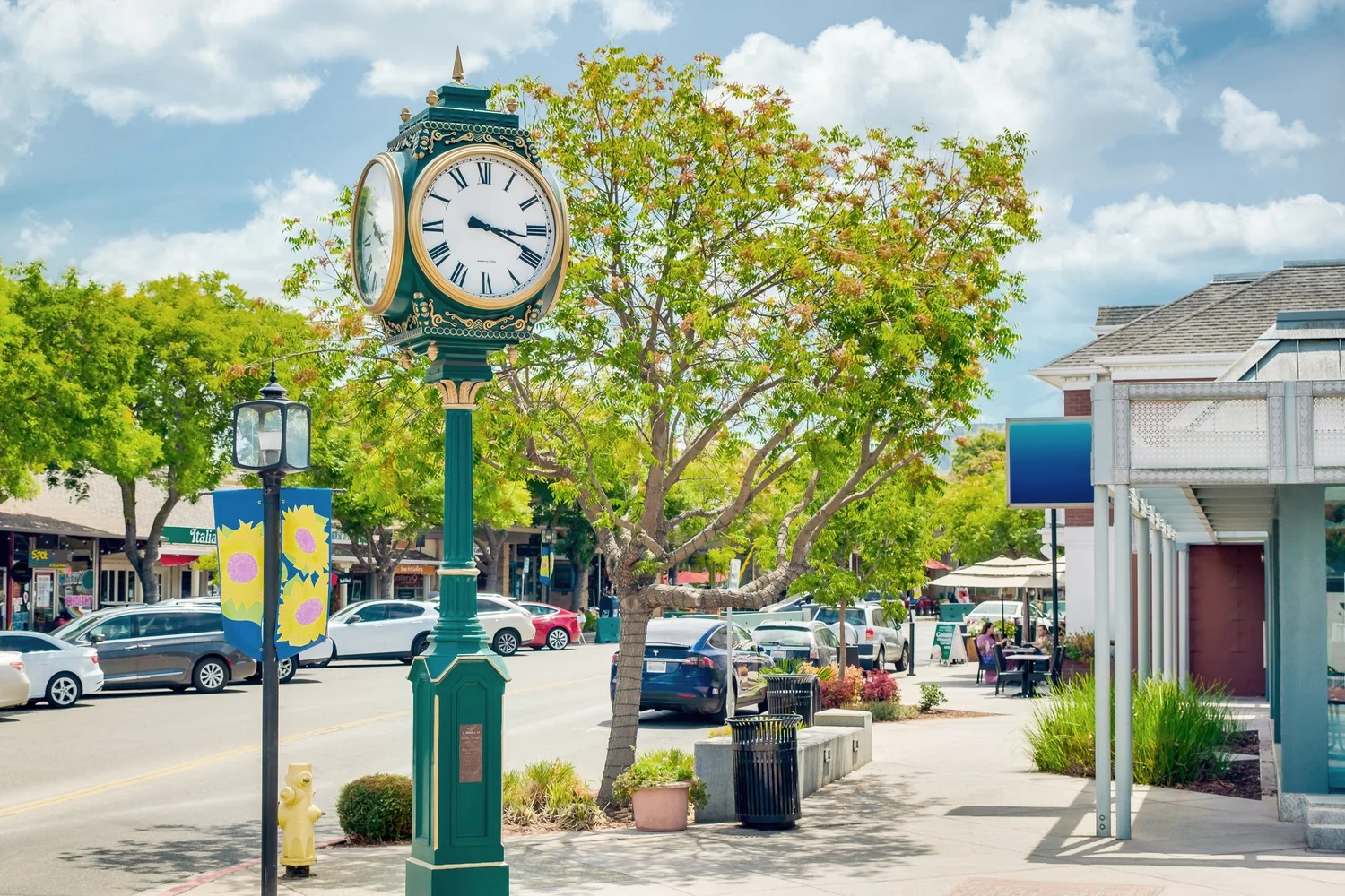 Los Altos & Palo Alto Real Estate Agent | Top Realtor - Alex Wang