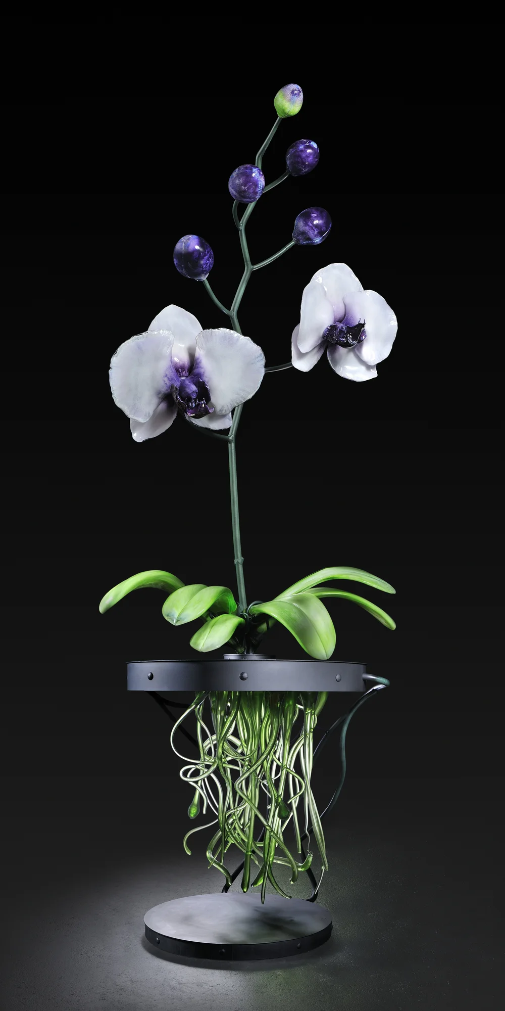 Large Orchids — Modern Glass Art