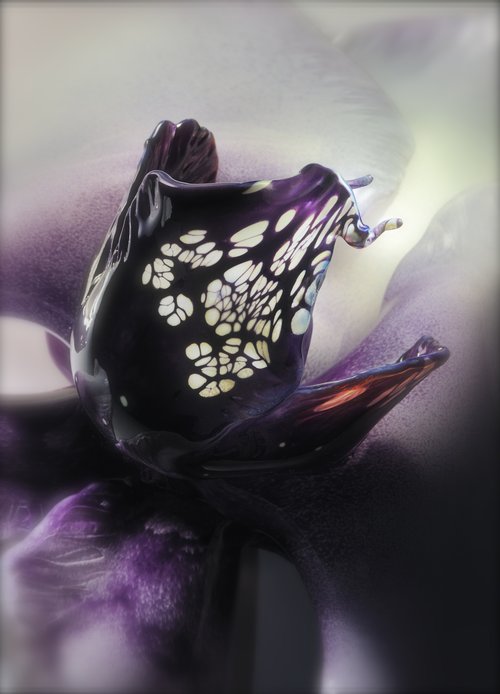 Large Orchids — Modern Glass Art