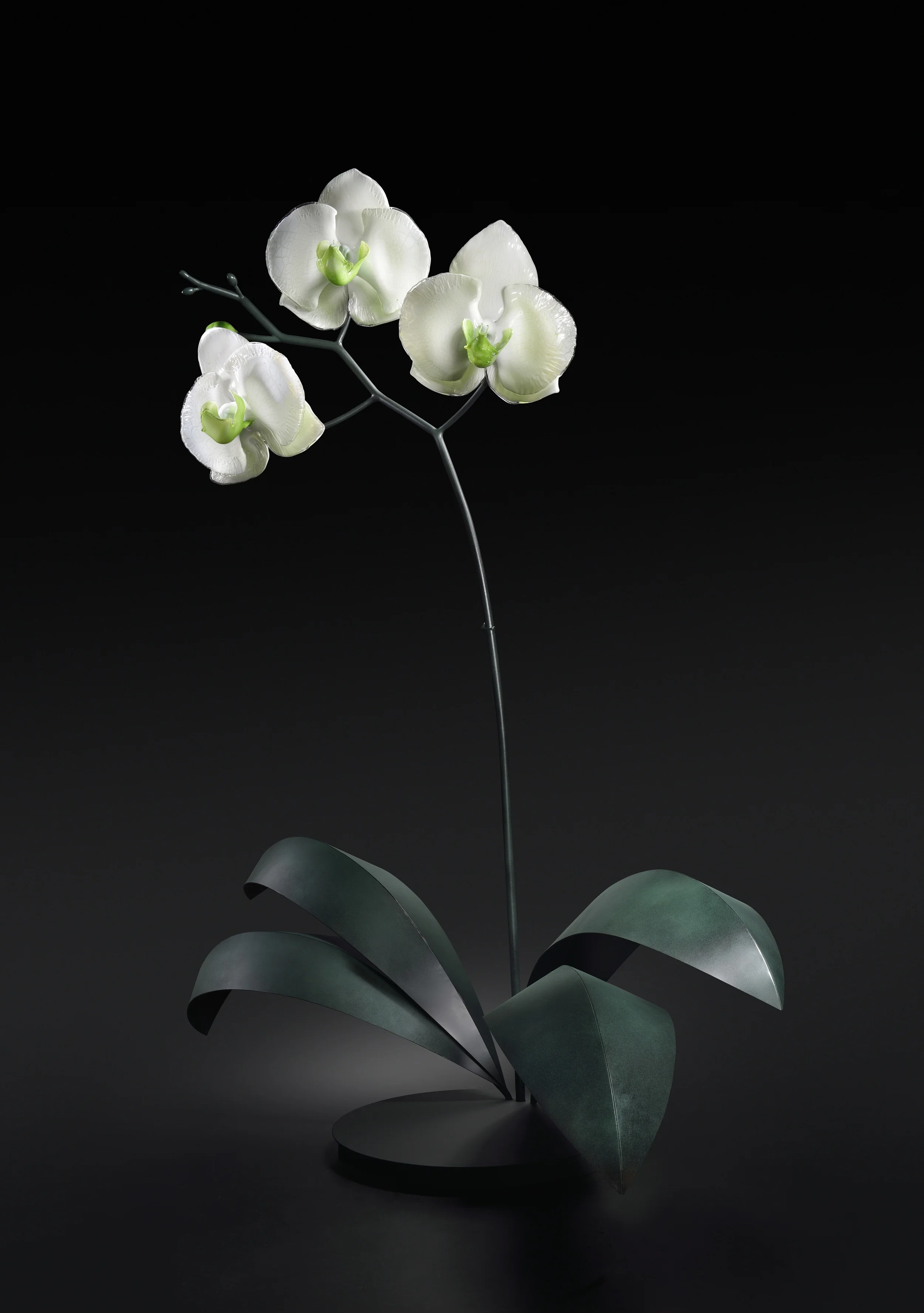 Large Orchids — Modern Glass Art