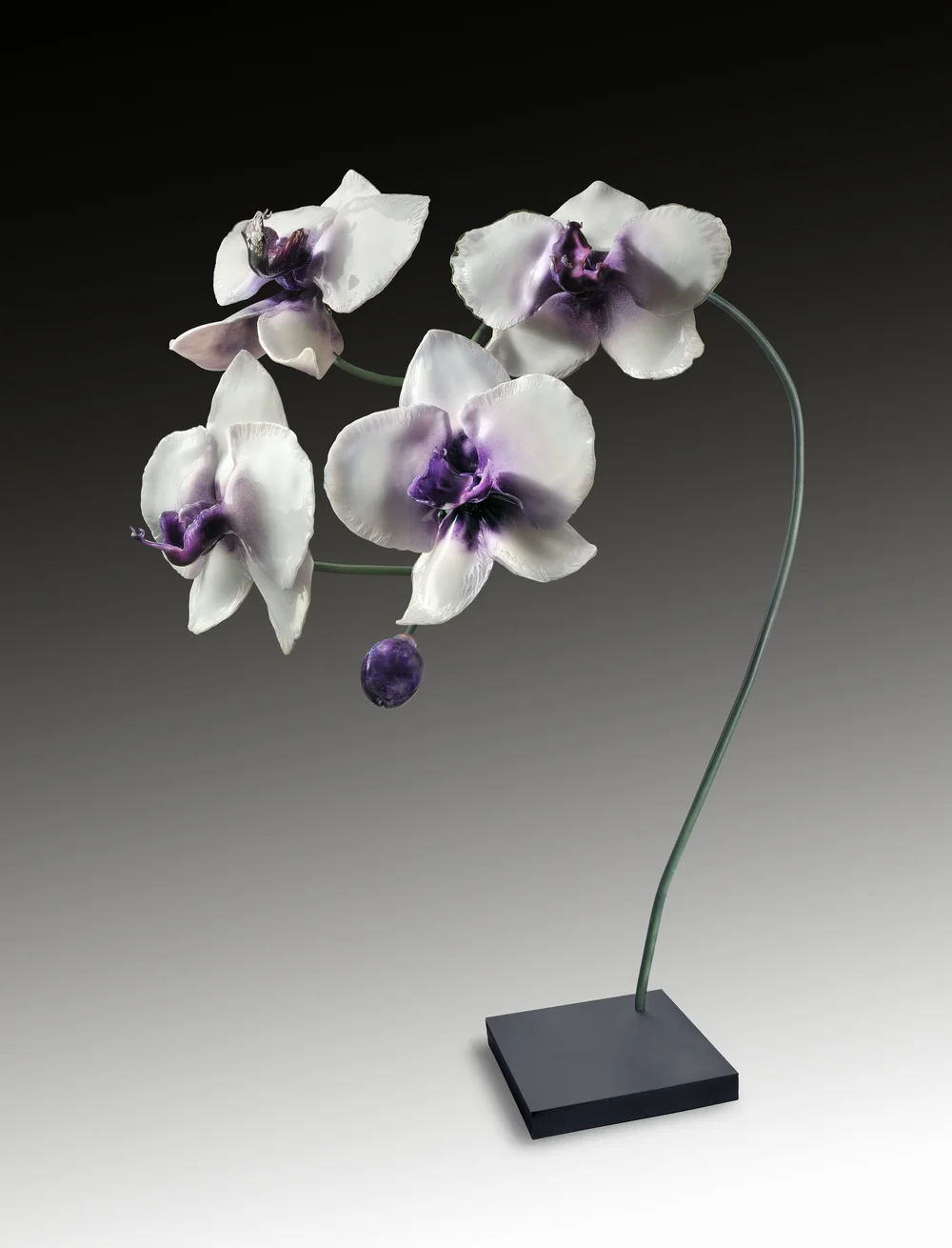 Large Orchids — Modern Glass Art