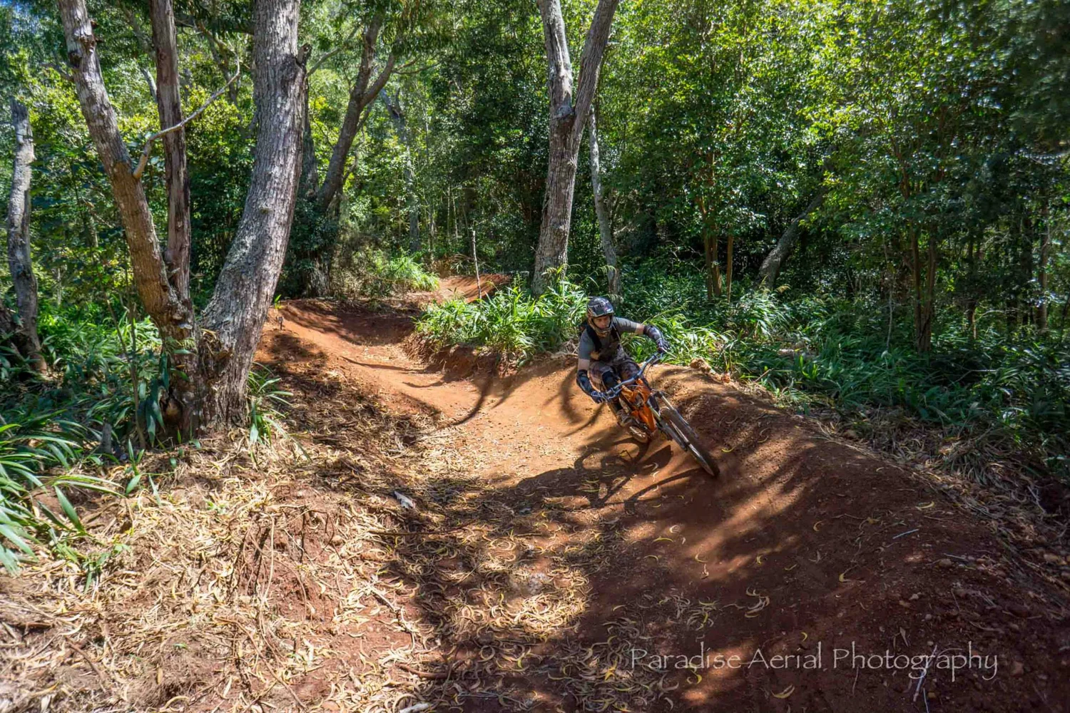 Makawao Forest - Kahakapao Trails — West Maui Cycles | Maui's Best Bike ...