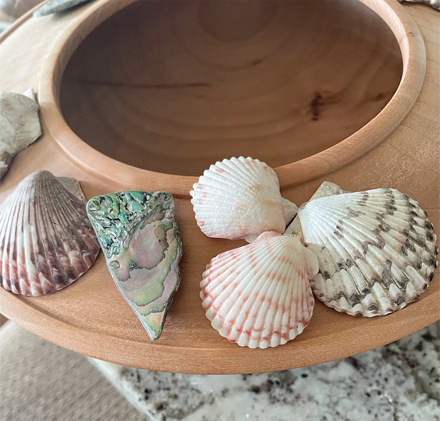 New Page — Nutmegger Workshop