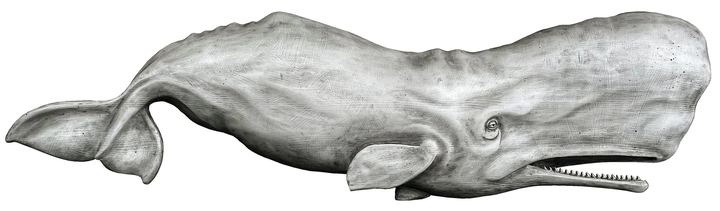 Hand-carved whales — Timeless classics from Nutmegger Workshop ...