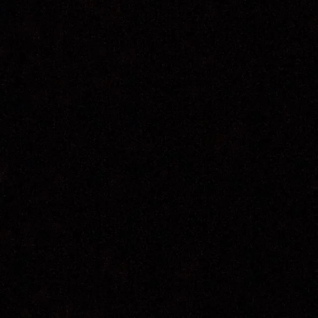 Washington DC Wedding Photographer -Allan Cordon Photography