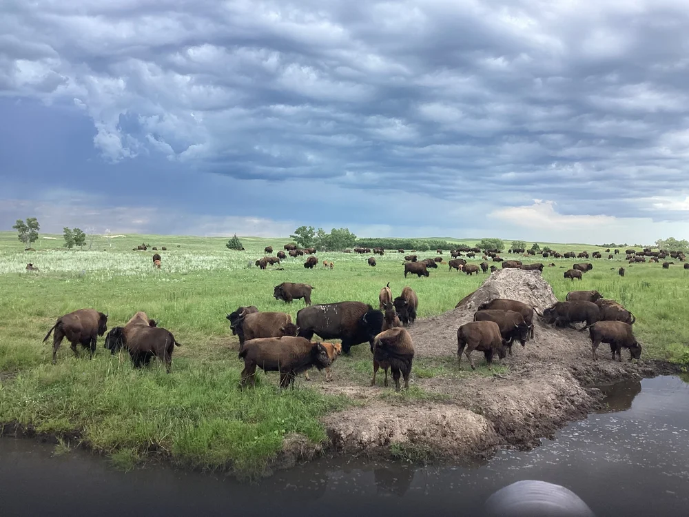 Moon Lake Ranch — A.C.Muller Enterprises