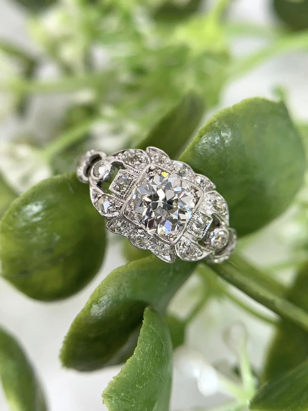 M4 Coalition — A.C.Muller Enterprises