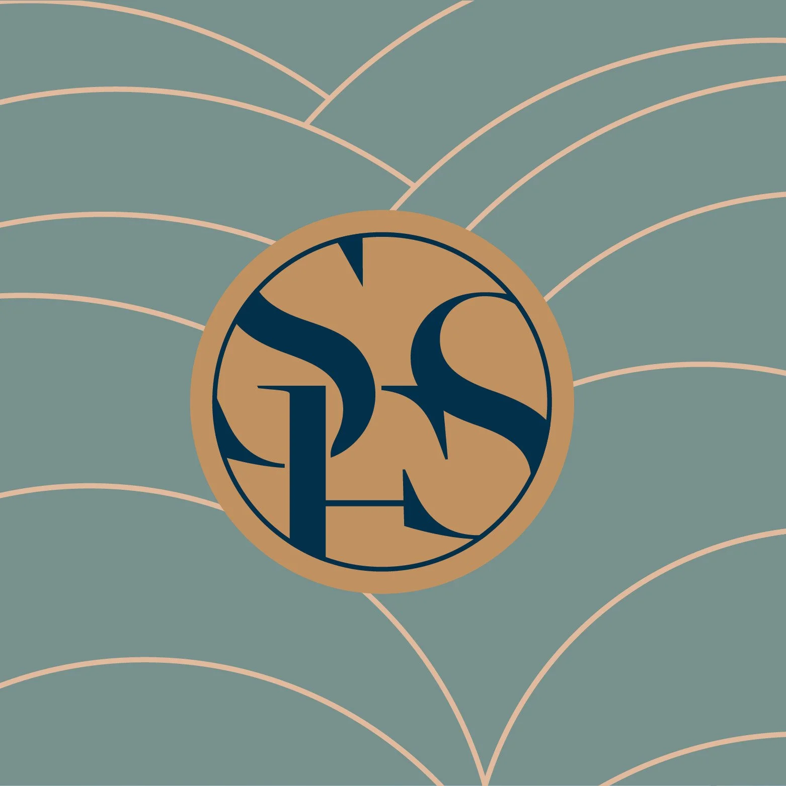 Simple Finance Solutions rebrand — Studio B Designs