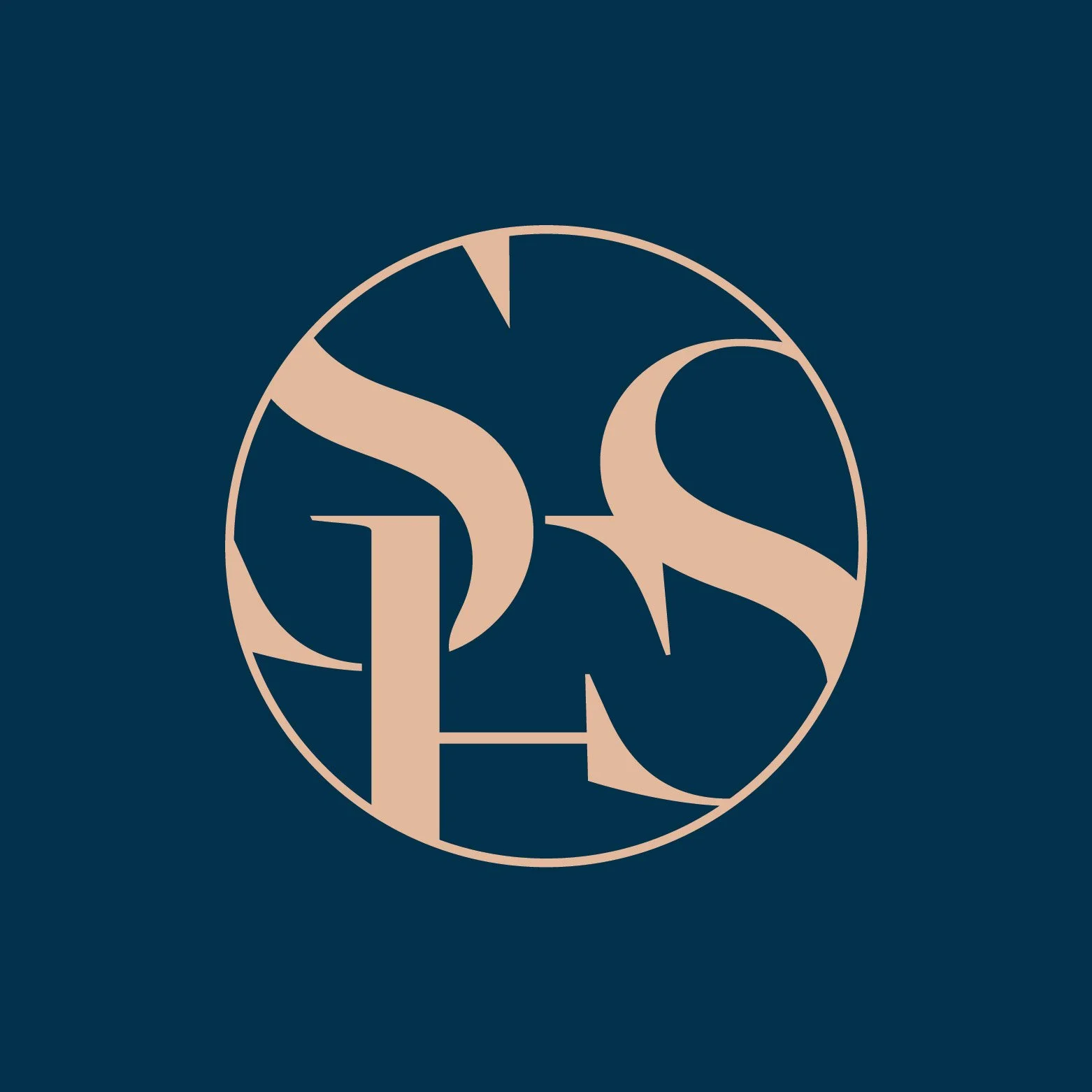 Simple Finance Solutions rebrand — Studio B Designs