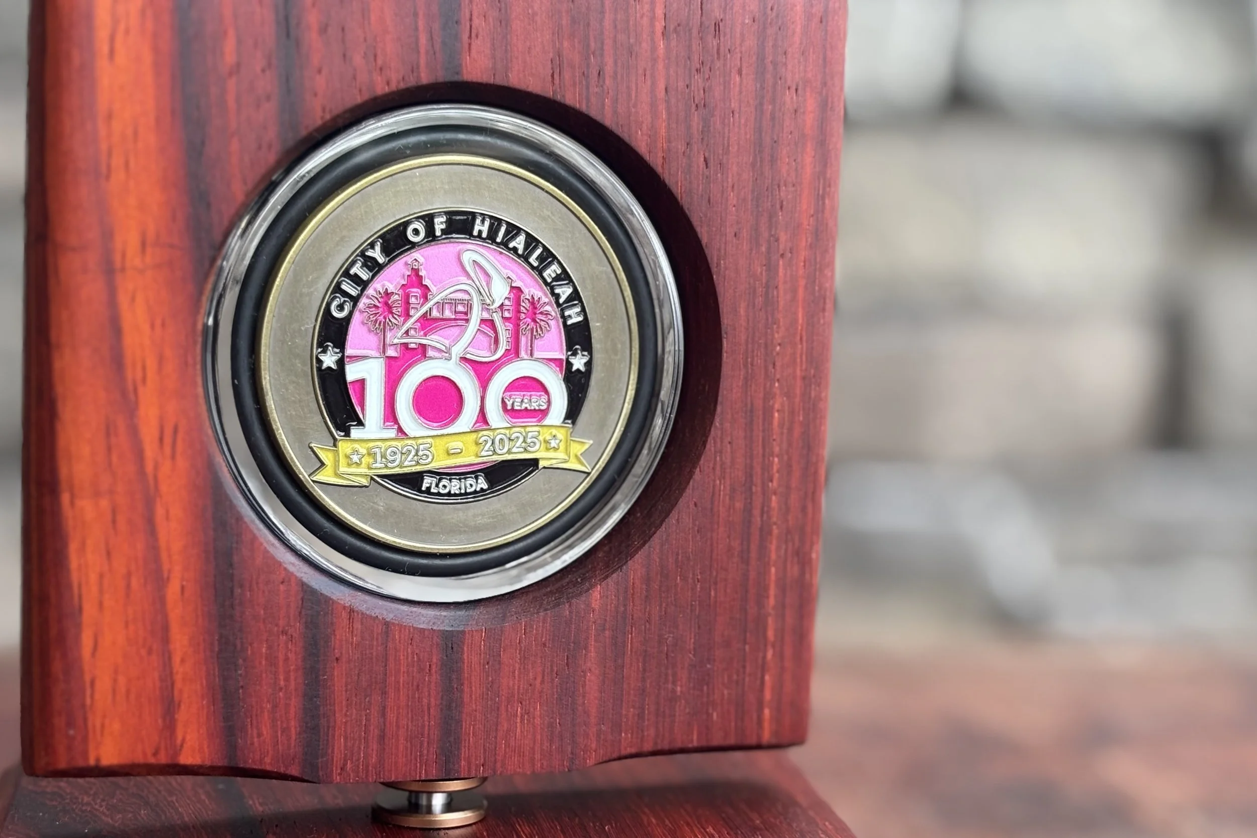 Challenge Coin Displays | Be Worthy of Recognition
