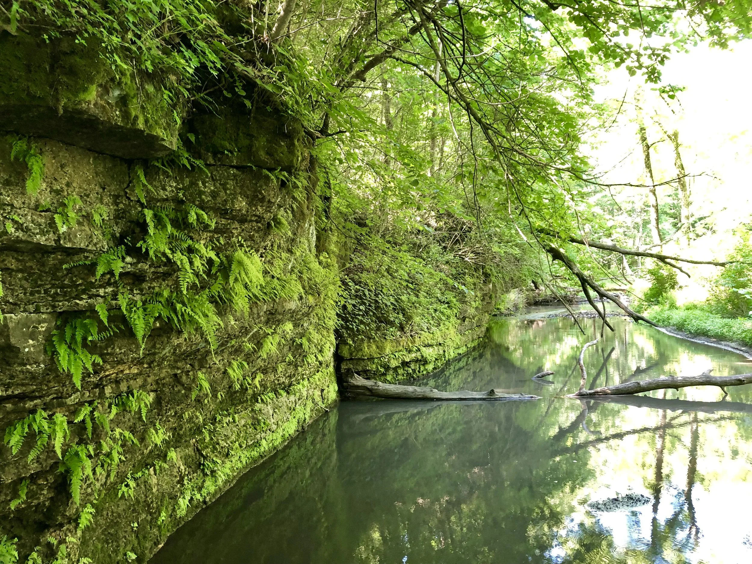 Severson Dells Nature Center
