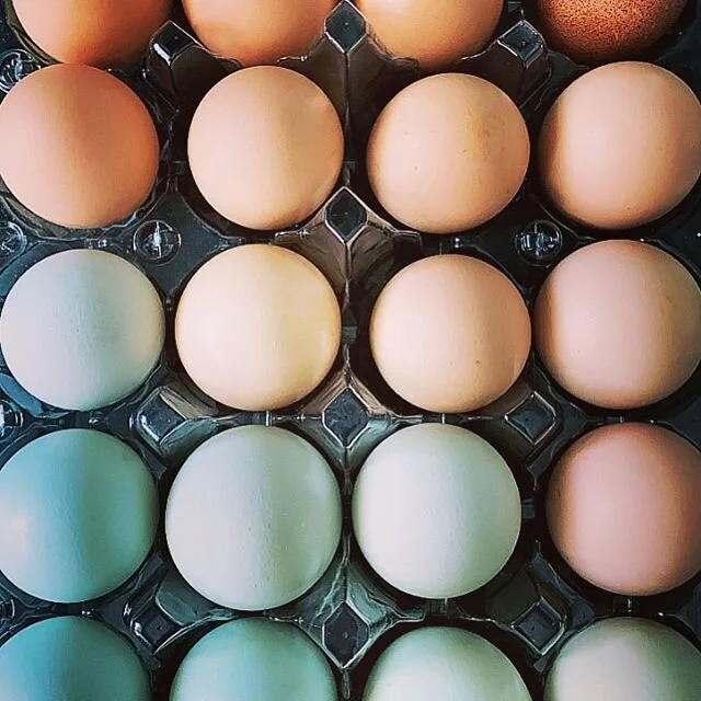 Unity And Variety In Photography