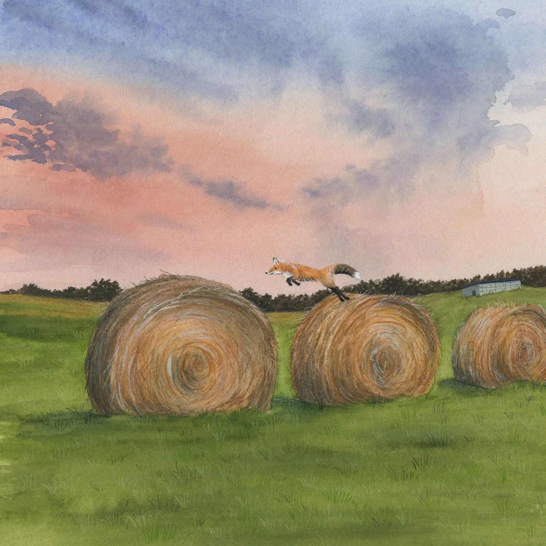 Current — webb gallery