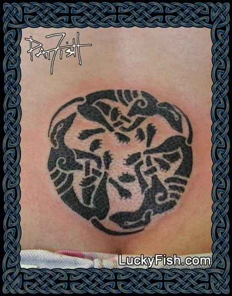 Kells Celtic Hound Tattoo Design — LuckyFish, Inc. and Tattoo Santa Barbara