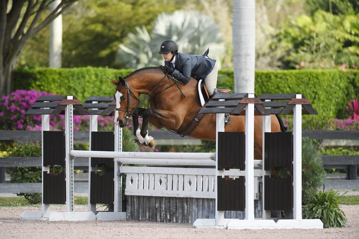 Lynnewood Stables