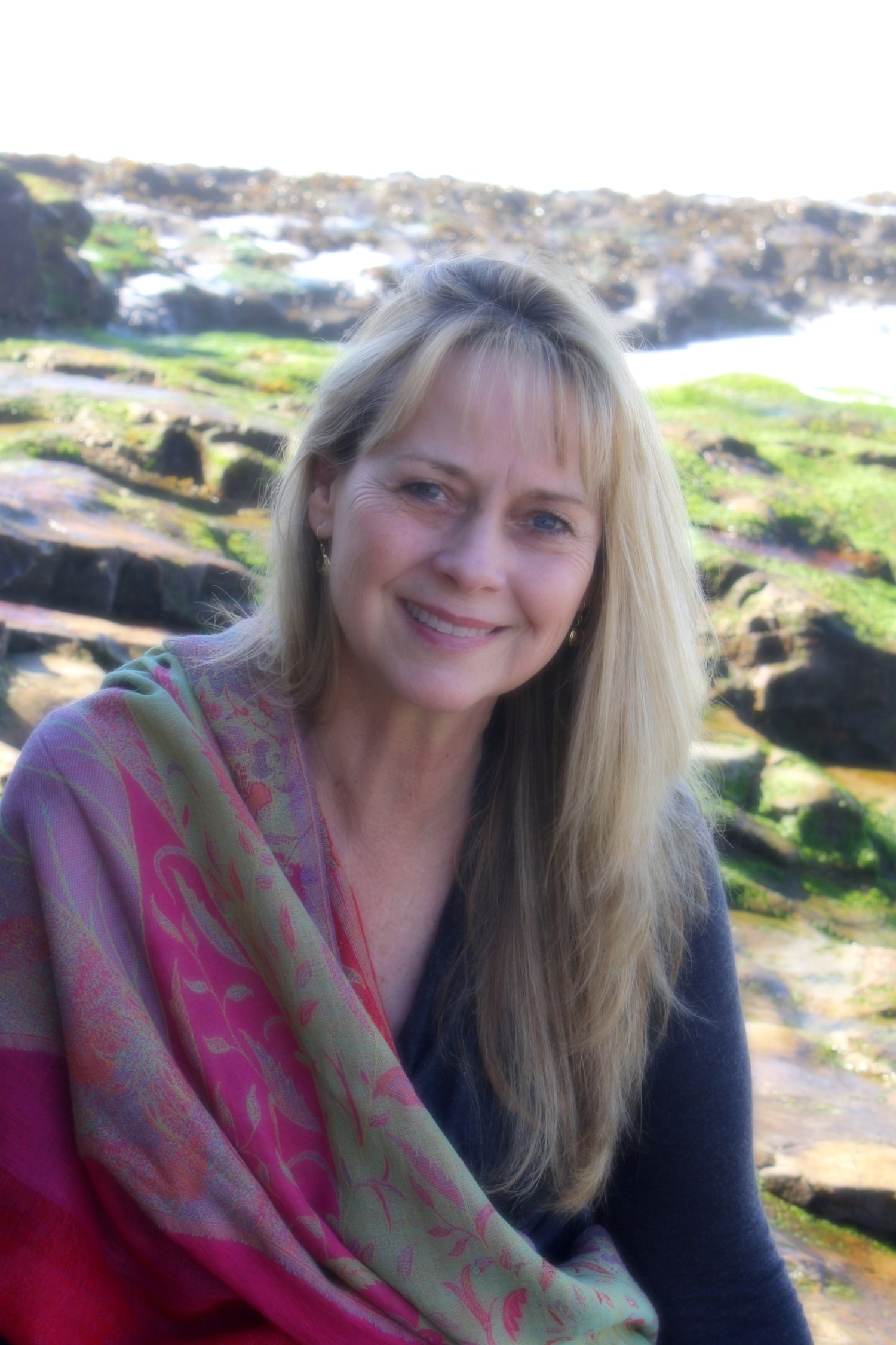 319 Los Gatos Saratoga Rd, Los Gatos (831) 295-3988