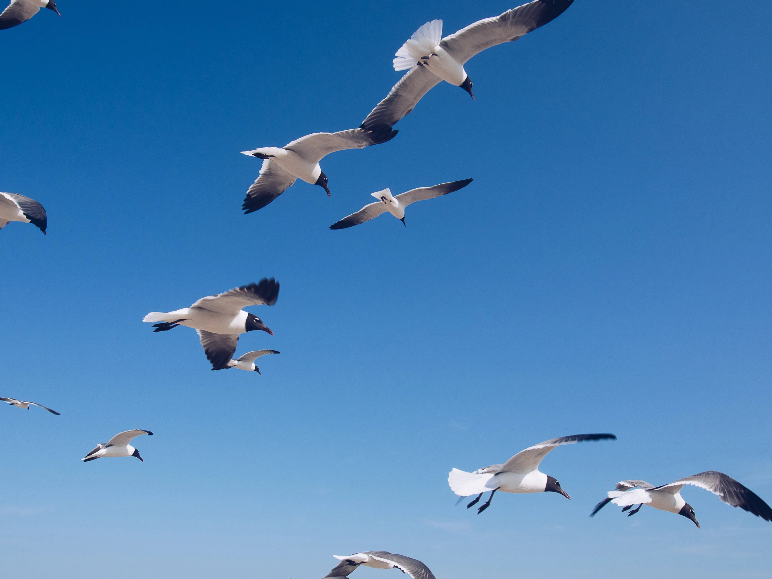 Drawn to Water — Erica Reade Images