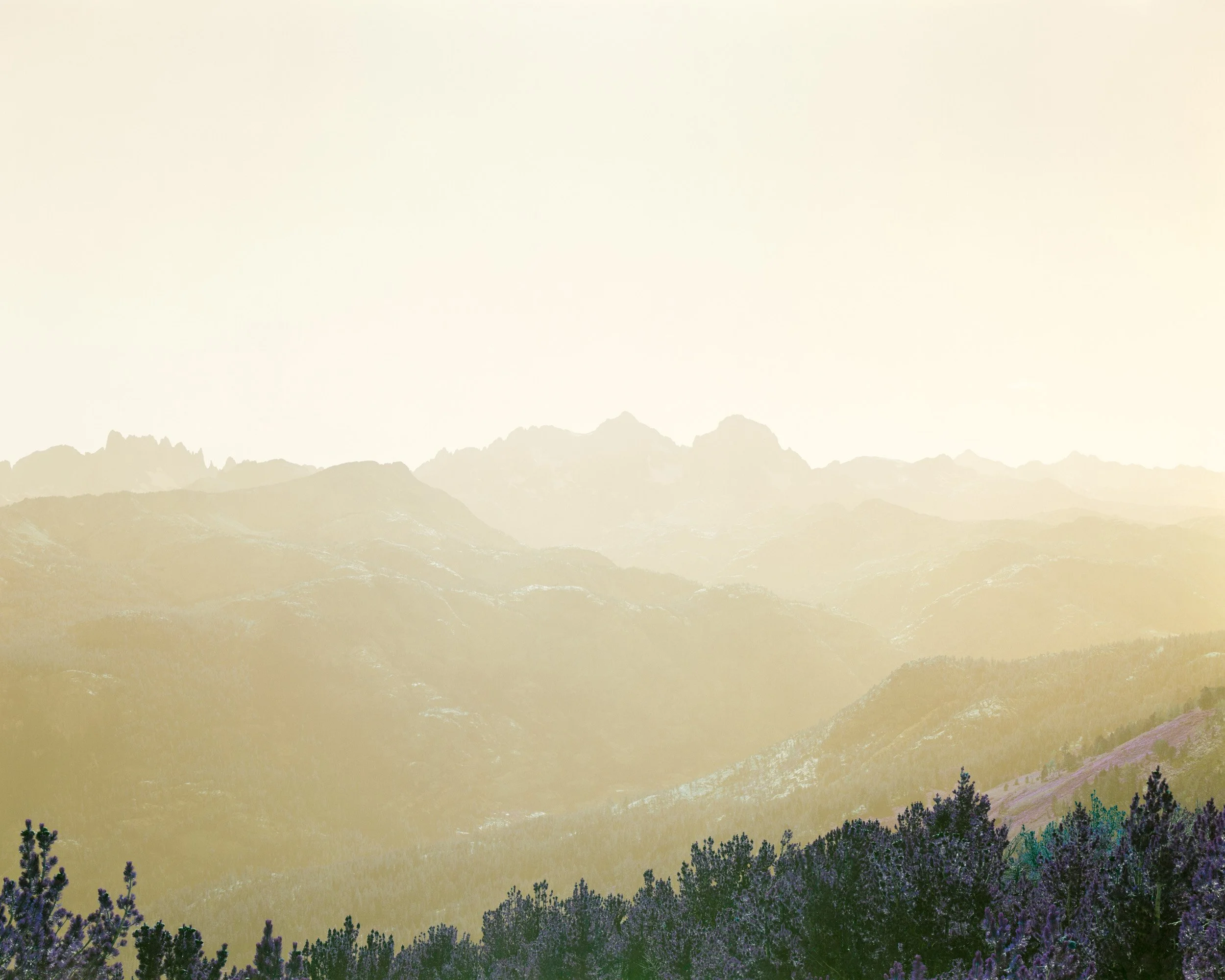 Sierra — Aaron Rothman