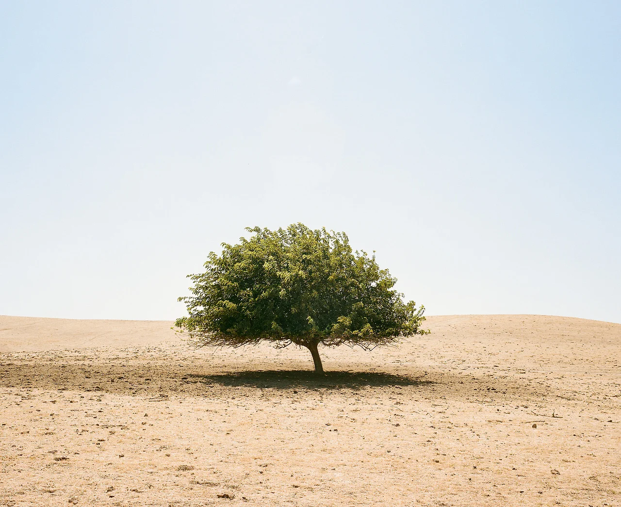 What is conscious leadership? — Conscious Leadership Institute
