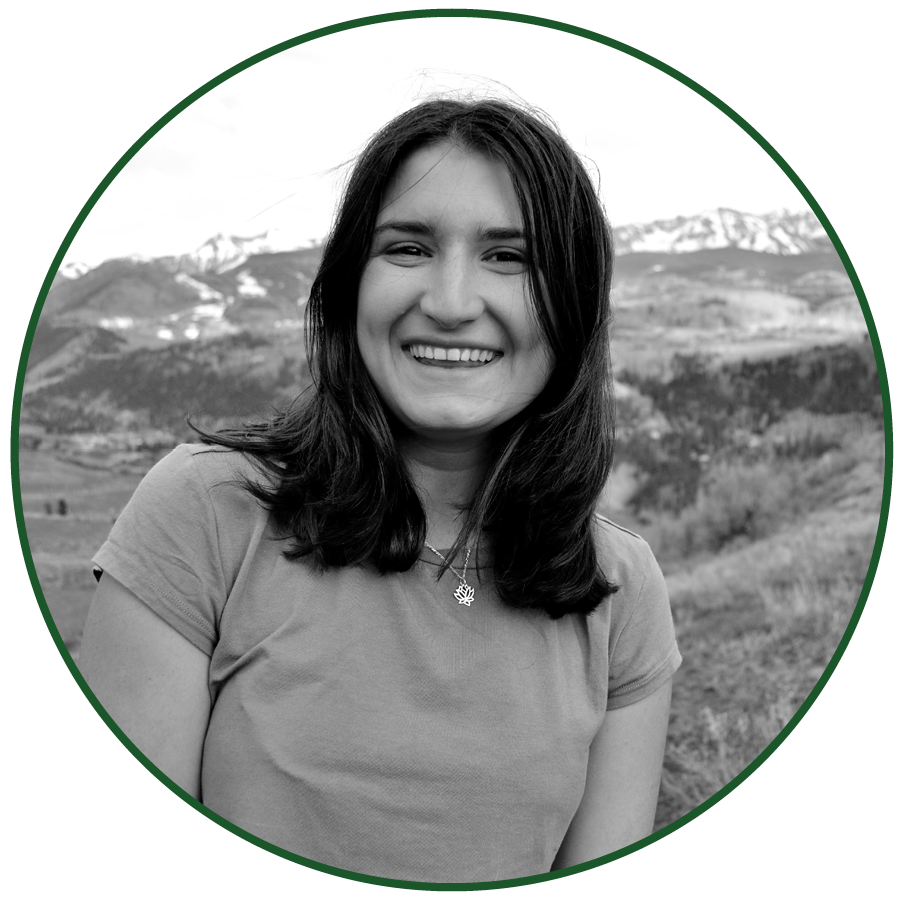 Who We Are — EcoAction Partners