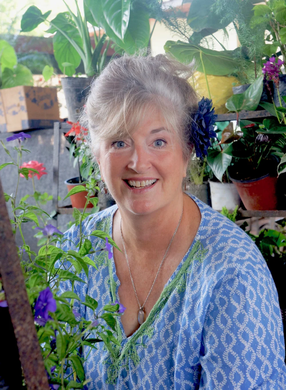 Who I Am | Transform Your Life Now, Begin Your Journey — Patty Blue Hayes
