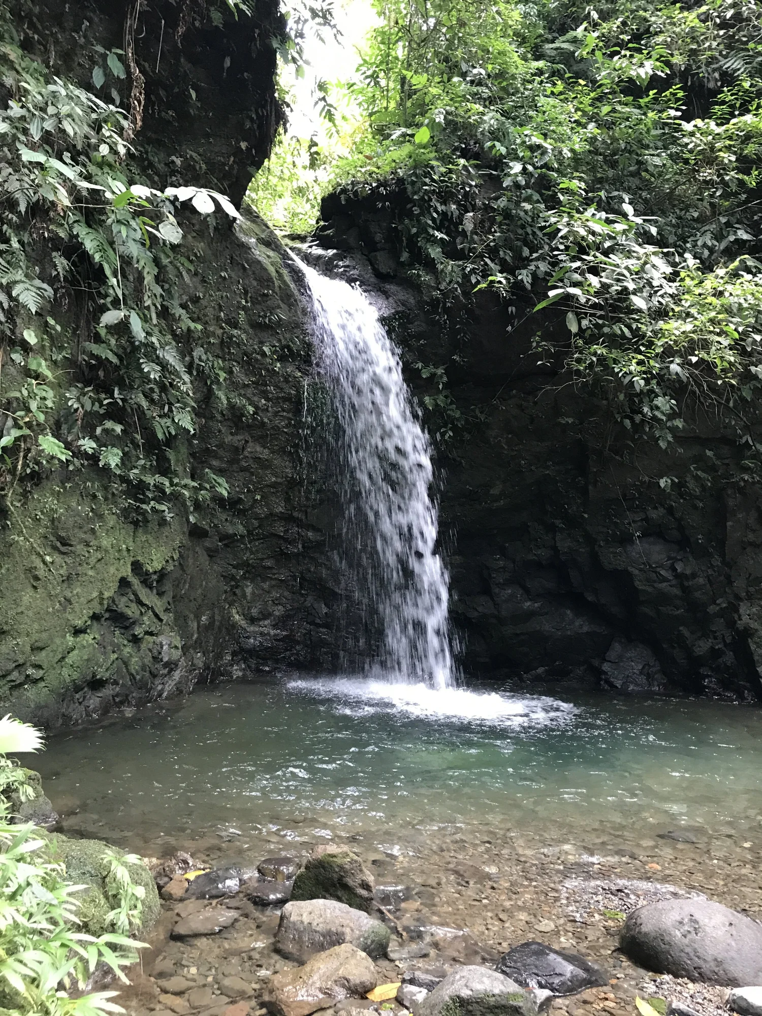 The Mountains of Santa Fe, Panama — Patty Blue HayesArticles