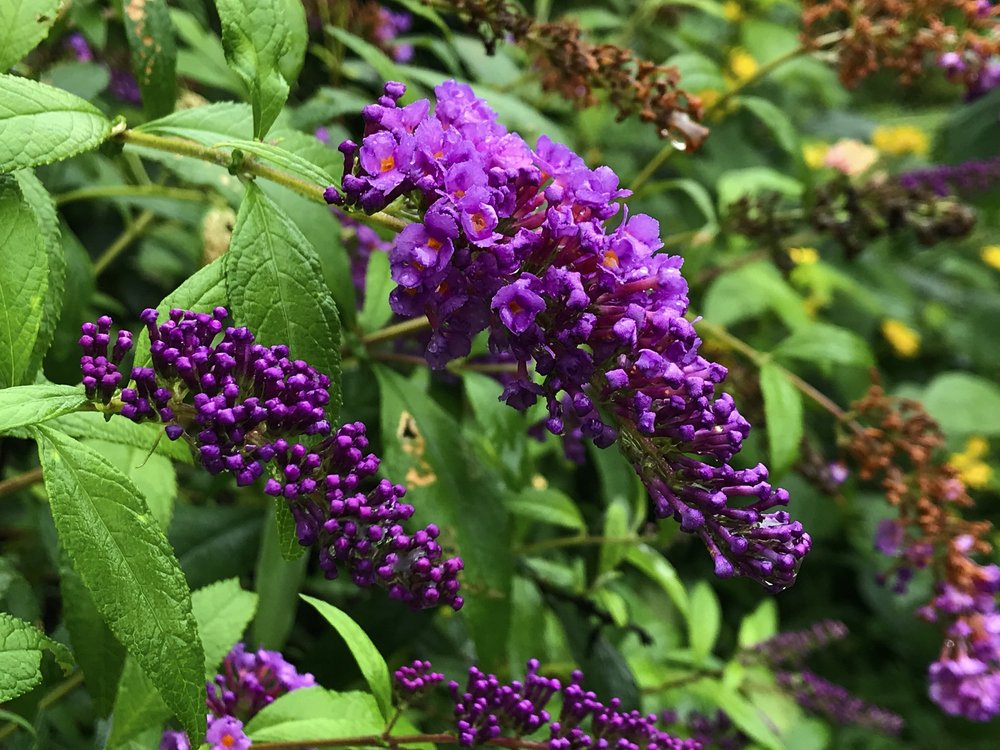 Personal Retreat — Patty Blue Hayes