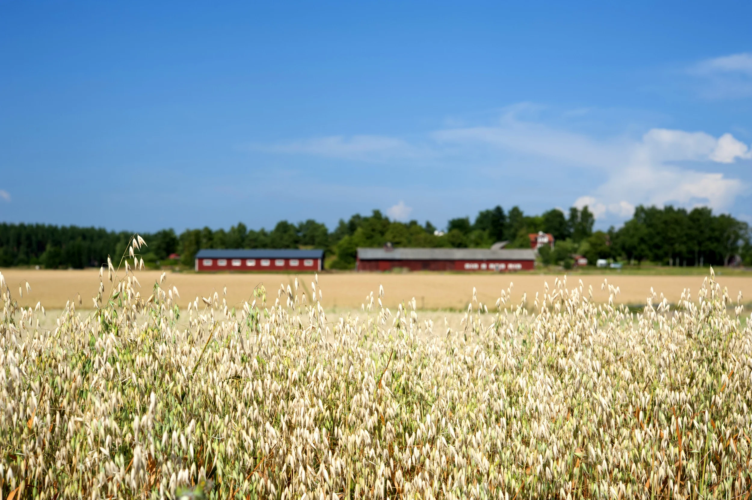 Welcome 2014 [www.sweoat.com]