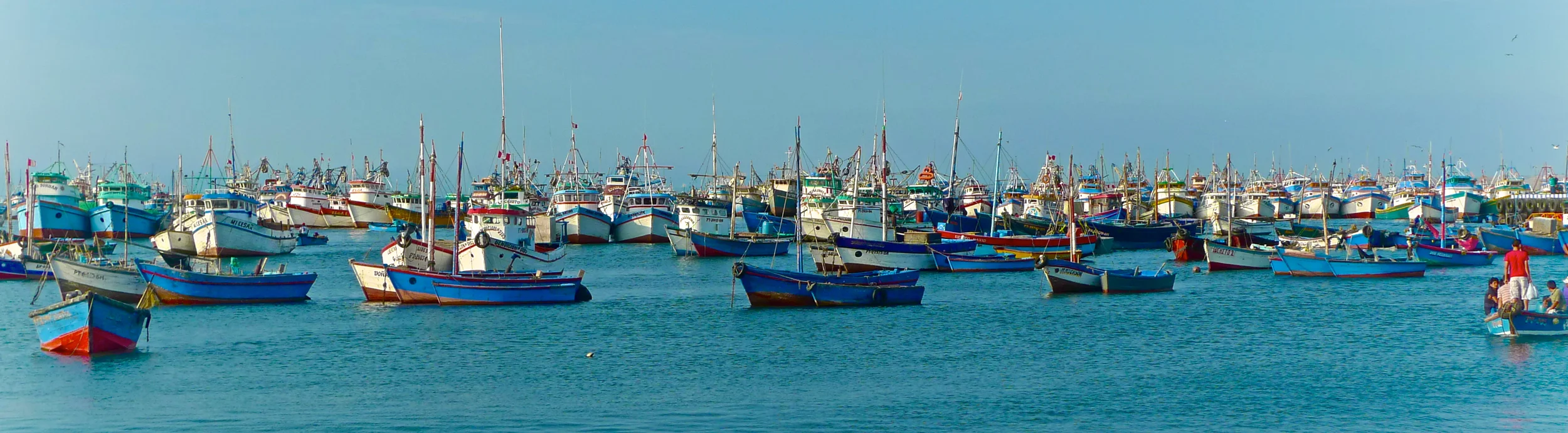 What is Overcapacity in Fisheries, and what does it looks like ...