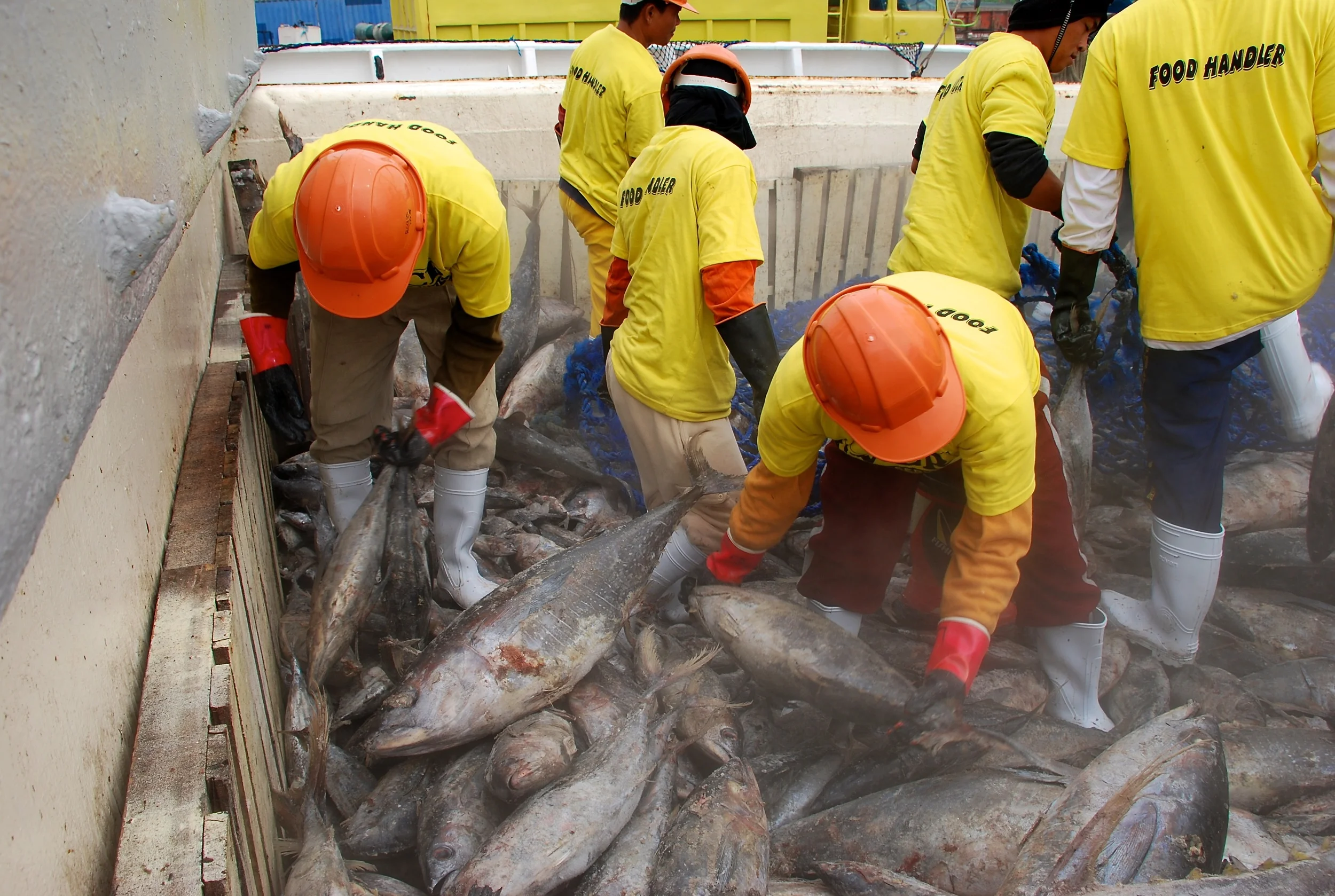 The Canned Tuna Fishing Industry in the Pacific — Francisco Blaha