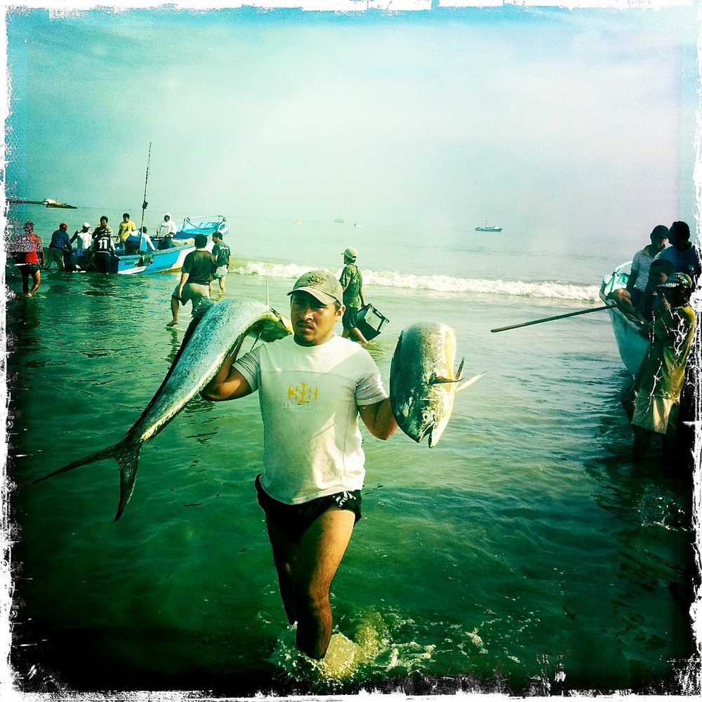 The Ocean Prosperity Roadmap: Fisheries and Beyond — Francisco Blaha