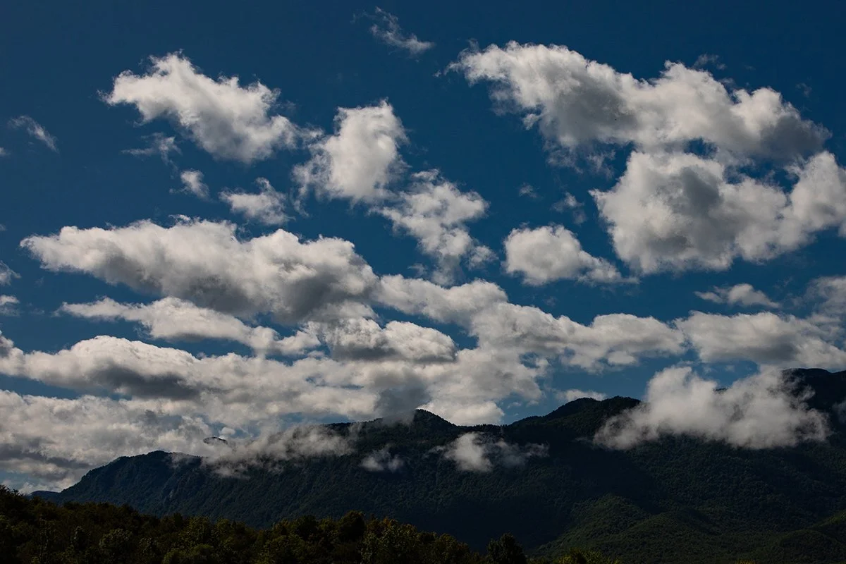 Velebit — Dzodan