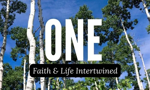 Nature Sermon Series 10 Summer Sermon Series To Preach