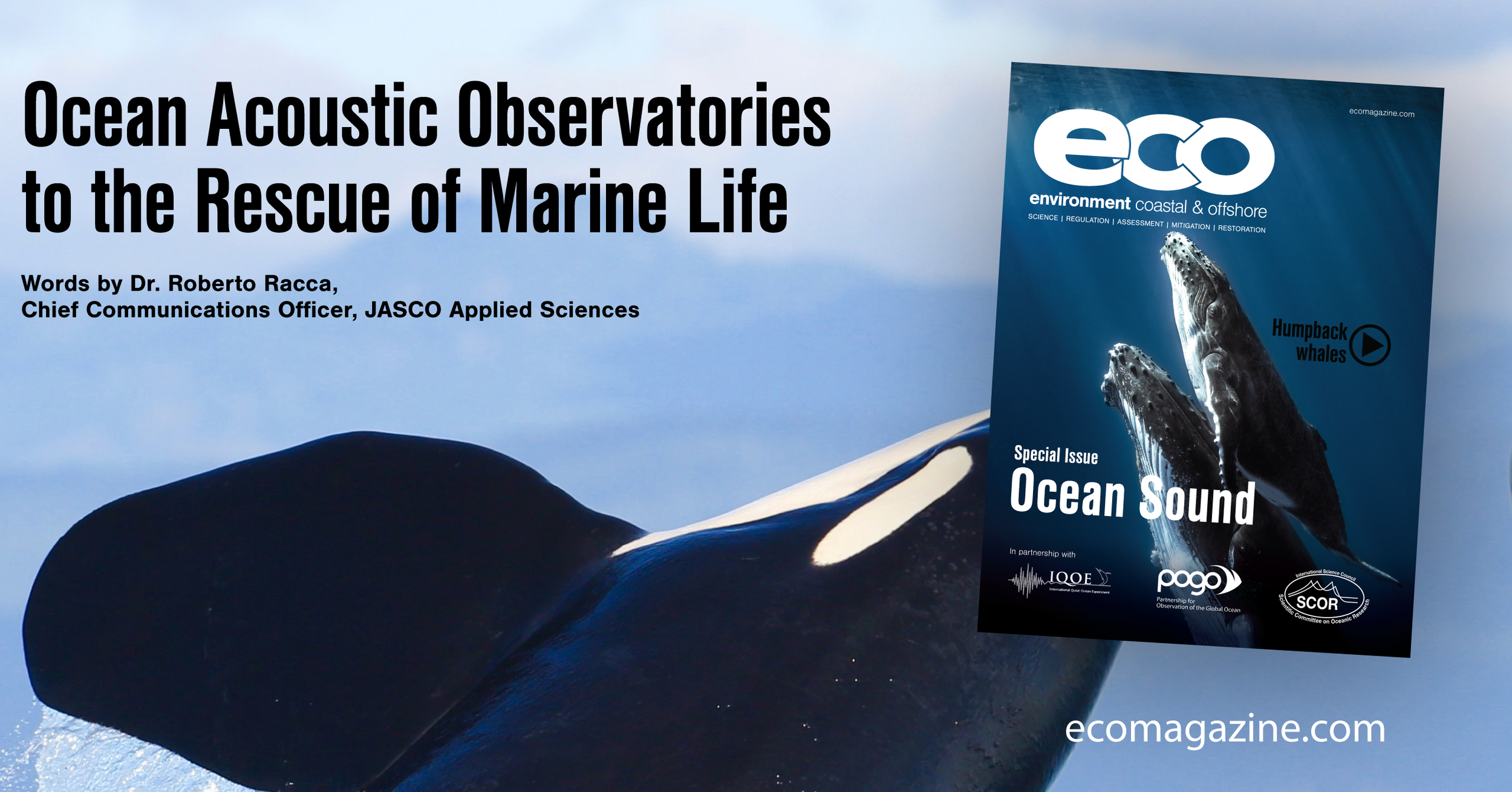 Ocean Acoustic Observatories to the Rescue of Marine Life | JASCO ...