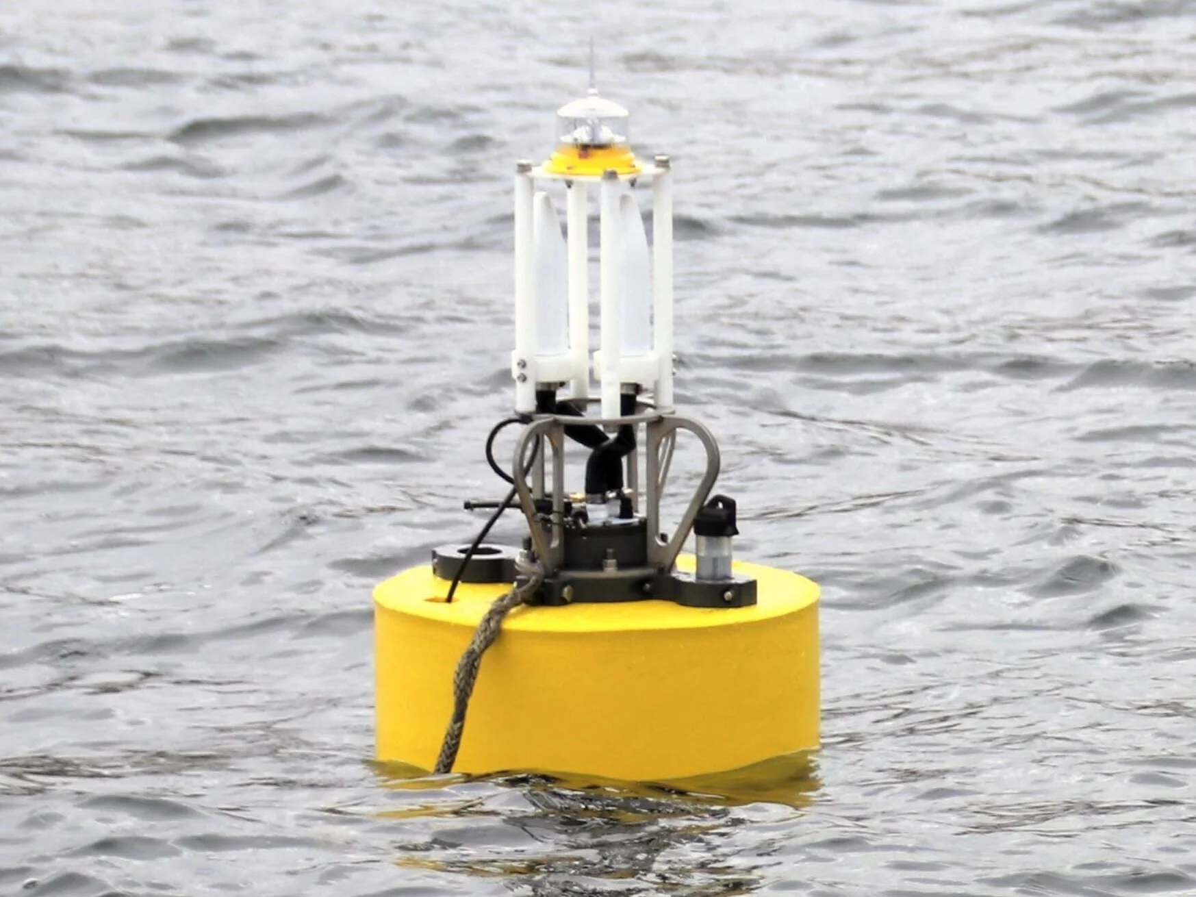 OceanObserver | JASCO Applied Sciences