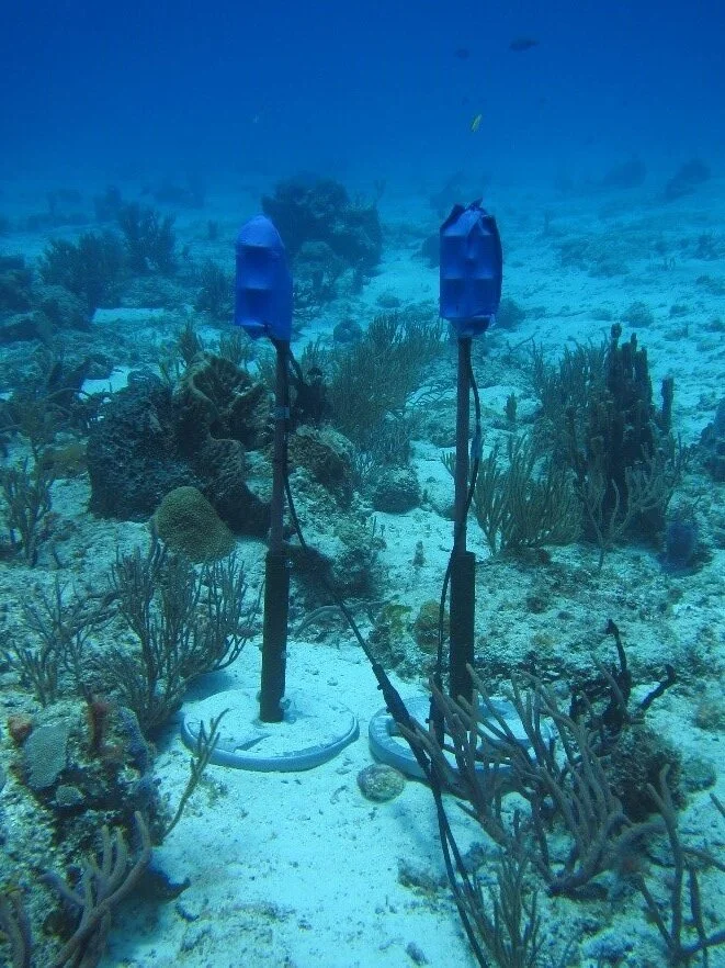 Acoustic Monitoring | JASCO Applied Sciences