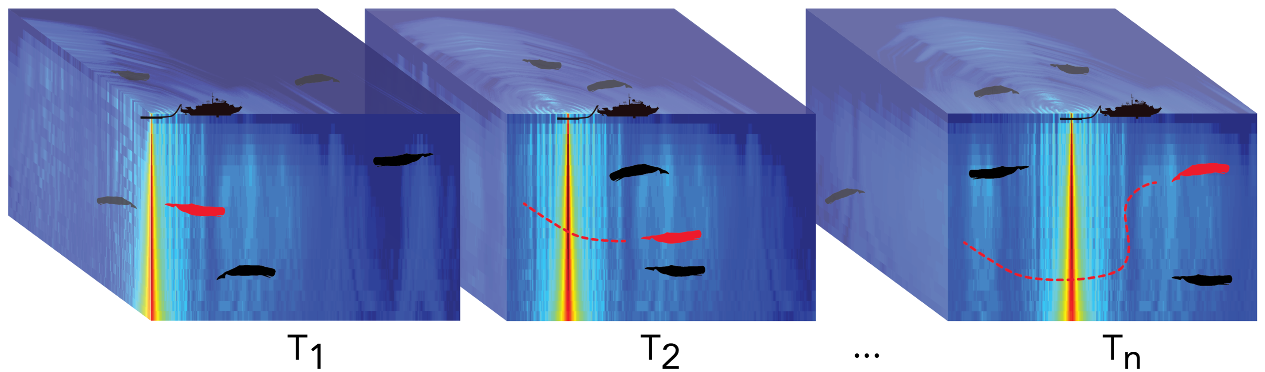 Acoustic Modelling | JASCO Applied Sciences