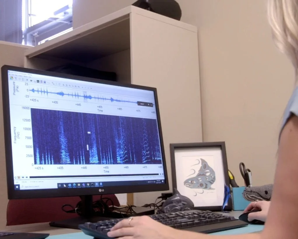 Acoustic Data Analysis | JASCO Applied Sciences