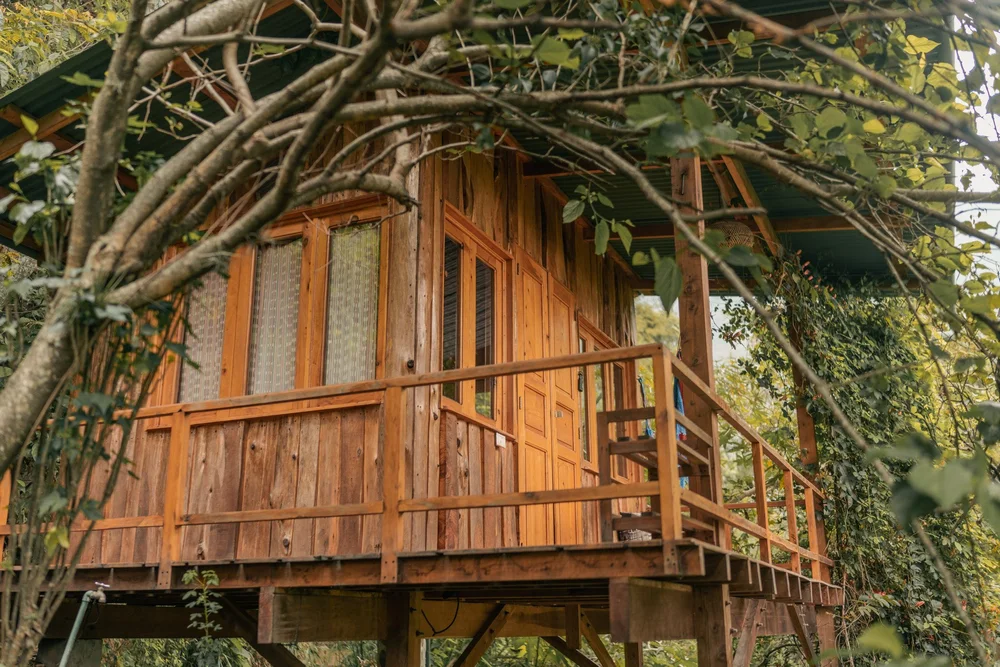 Forest Hut Hotel