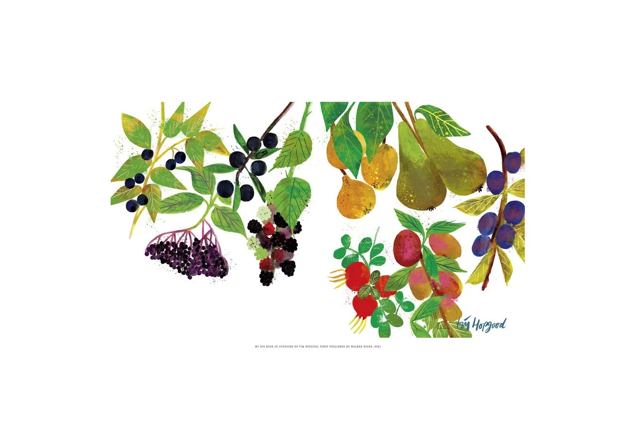 Tim Hopgood My Big Book of Outdoors — Tim Hopgood