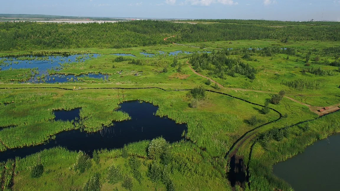 Fine fluid tailings explained, and why they’re such a problem | Oil ...