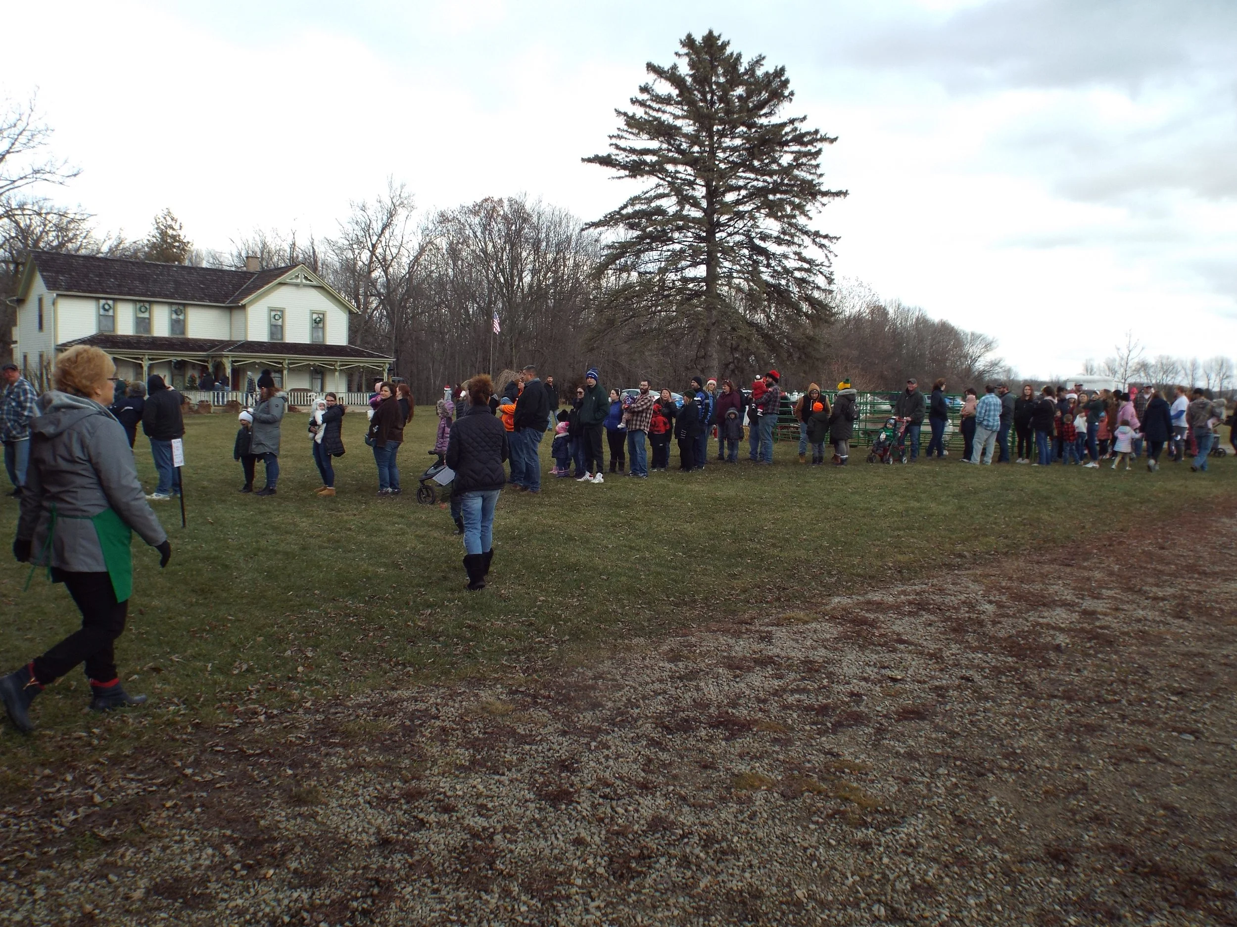 Toms Tunes -TomsTunesllc@hotmail.com