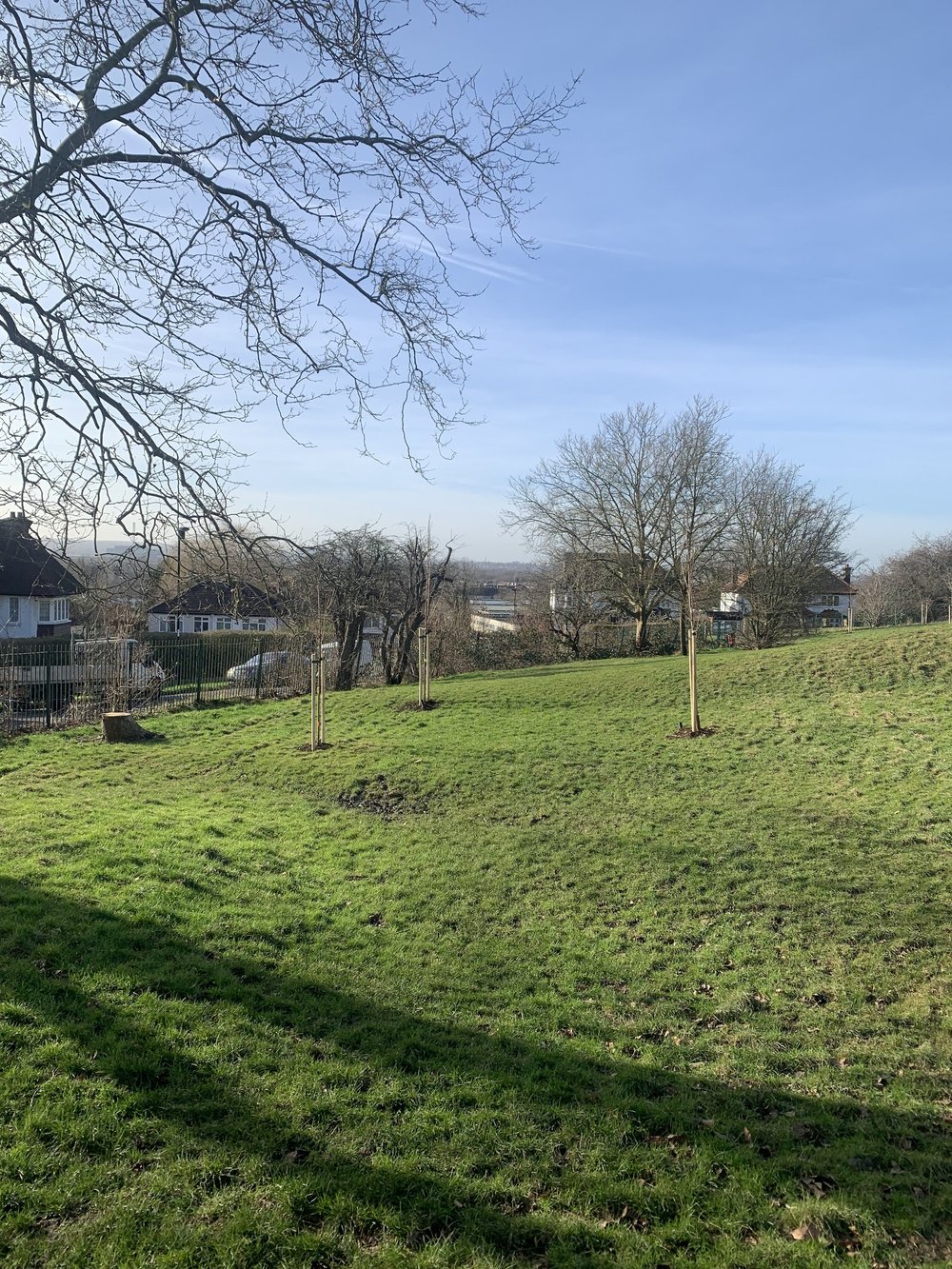 News — Pollards Hill Residents' association (PHRA)