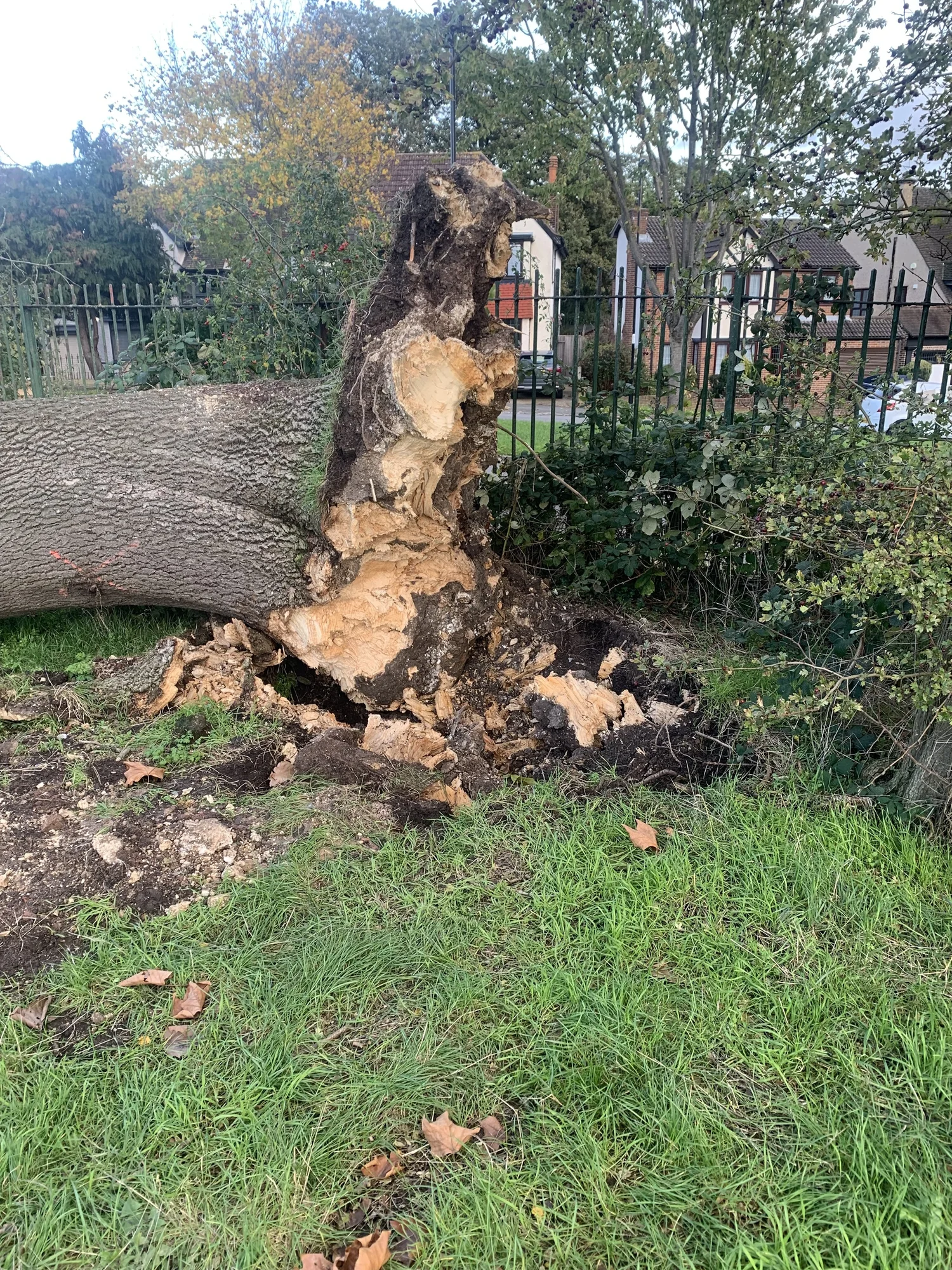 News — Pollards Hill Residents' association (PHRA)