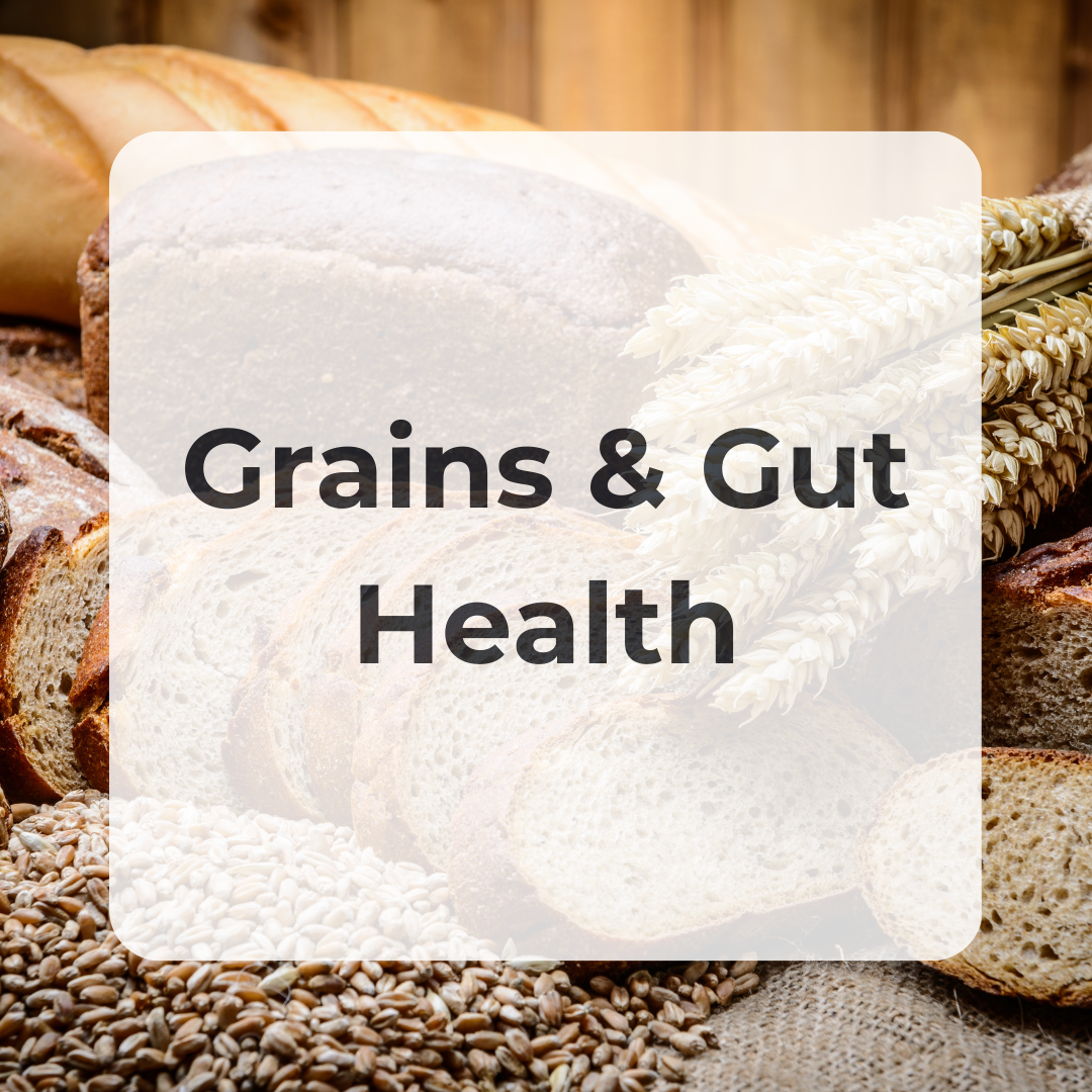 Grains & Gut Health — Paleo Foods Co.
