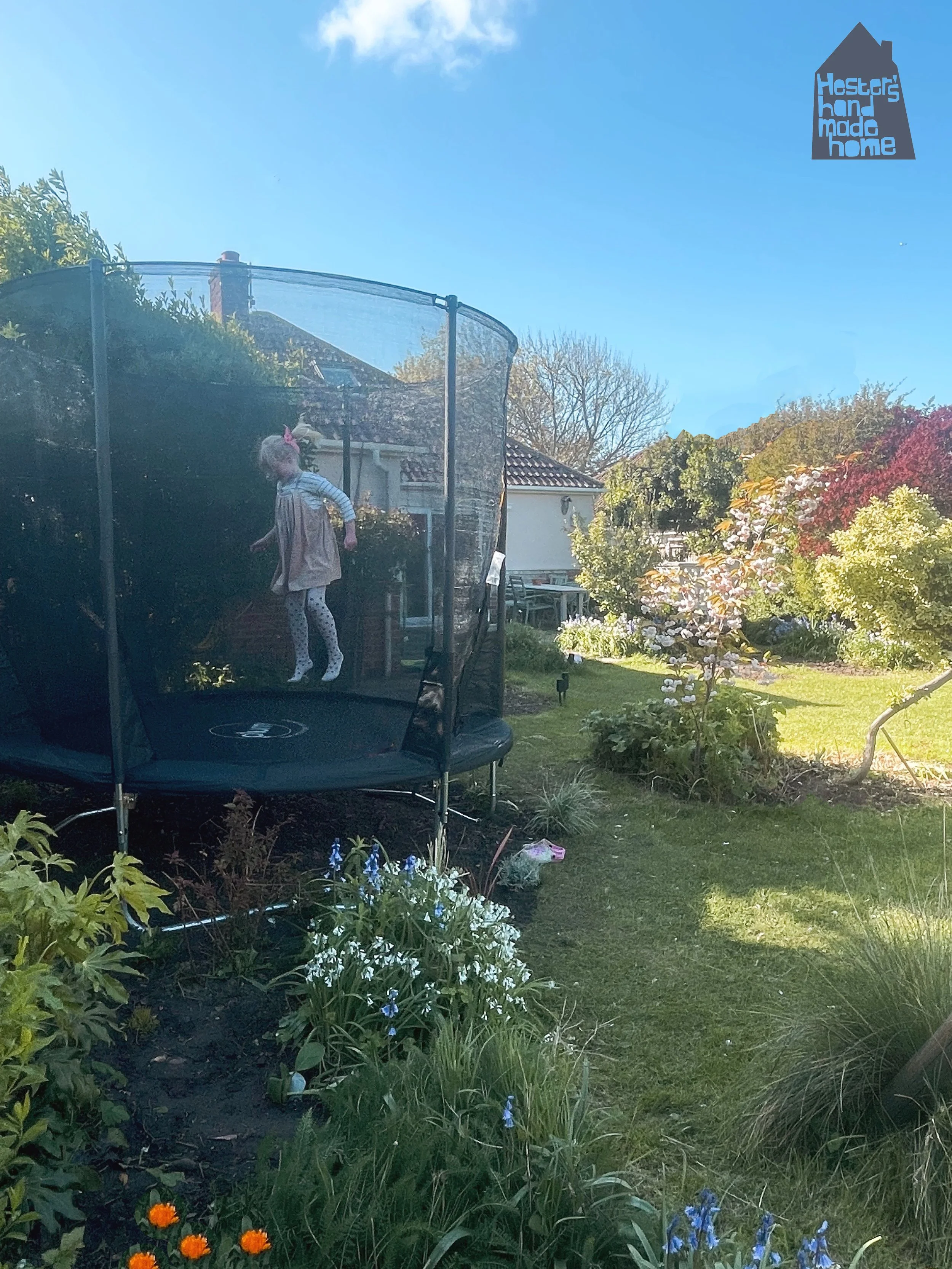 How to incorporate a trampoline in your garden design — Hester's ...
