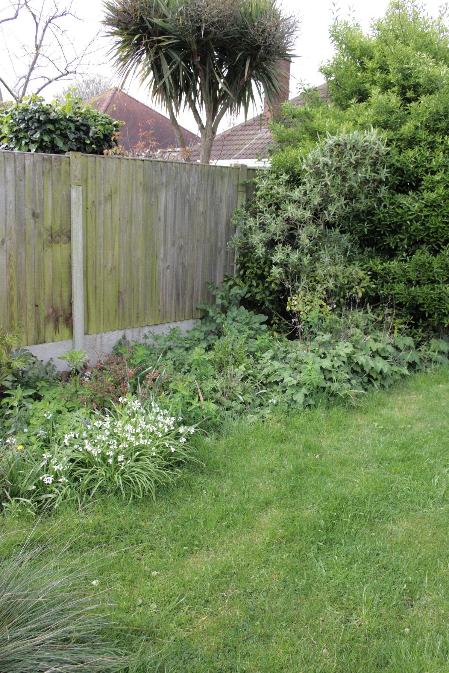 How to incorporate a trampoline in your garden design — Hester's ...