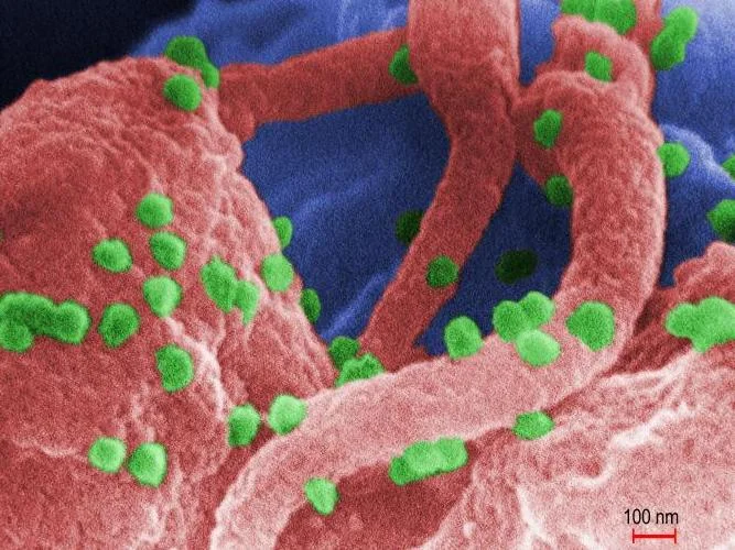 News — Prosetta Biosciences