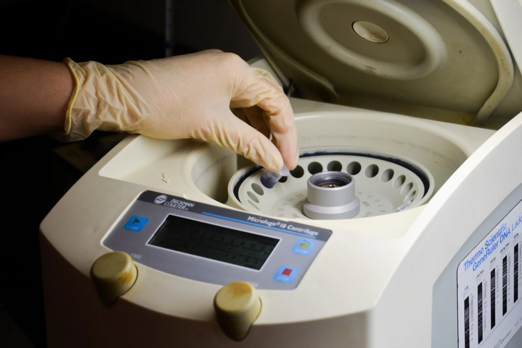 Prosetta Biosciences